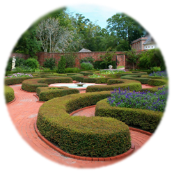 Zen & formal gardening plants & succulents ~ Plant Shop Africa